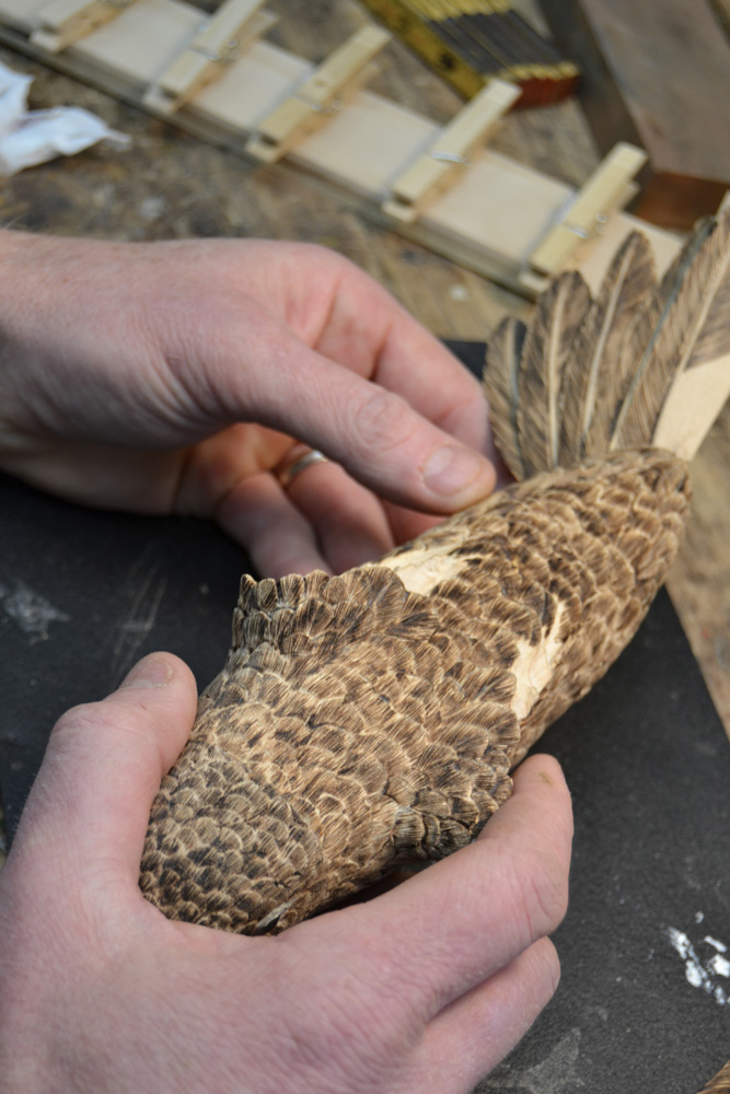 Sculpture – Frank Middleton