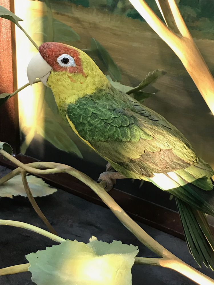 Sculpture – Frank Middleton